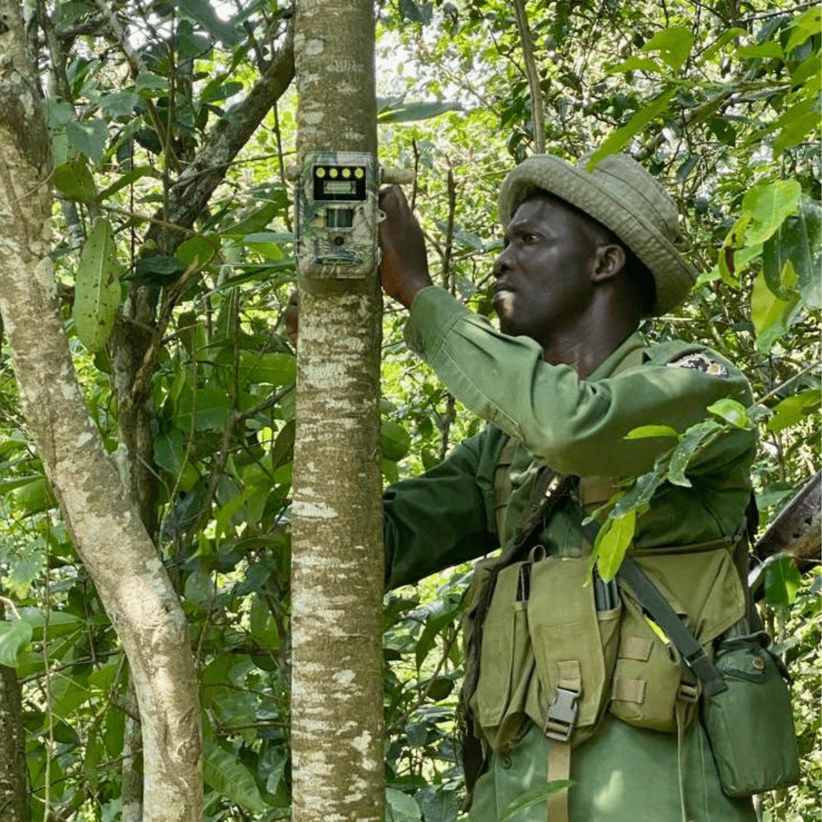 Wildlife Monitoring | Conservation | Virunga National Park