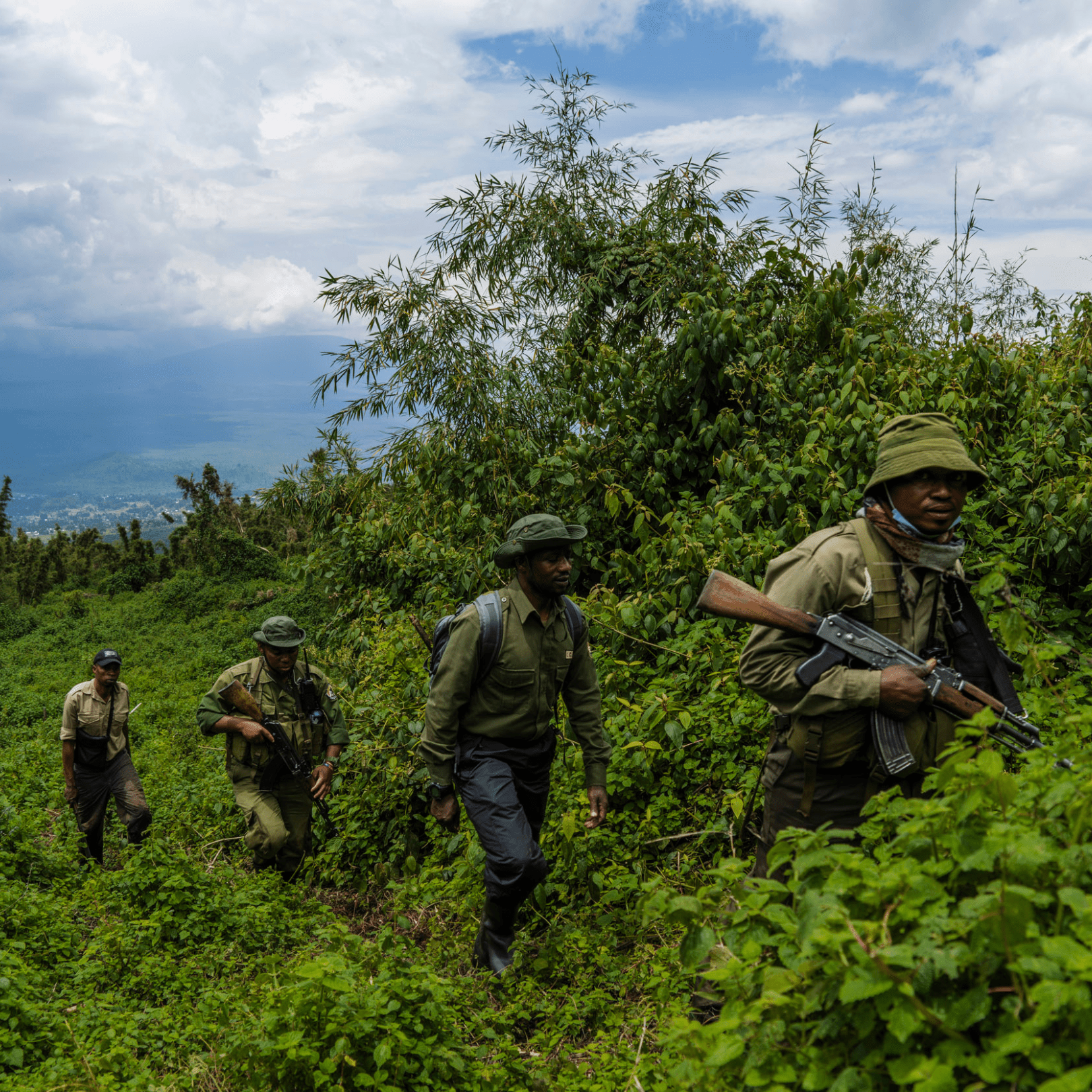 Wildlife Monitoring | Conservation | Virunga National Park