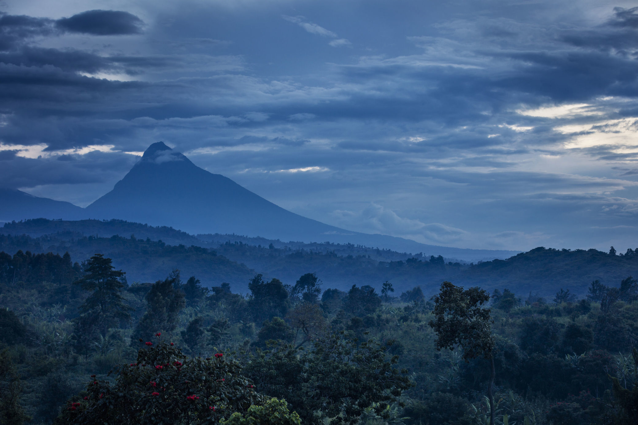 Habitats du Parc national des Virunga | Découvrez
