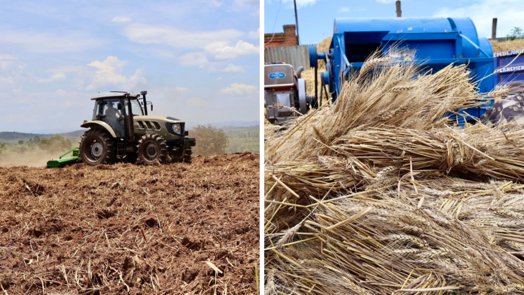 Mechanization and Progress in Lubero's Wheat Industry | Virunga ...