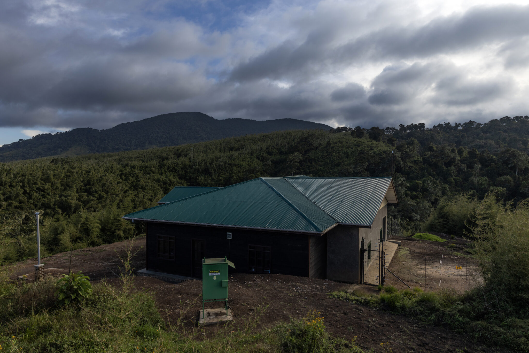 Rescued Gorillas Rewilded in Eastern Congo | Virunga National Park